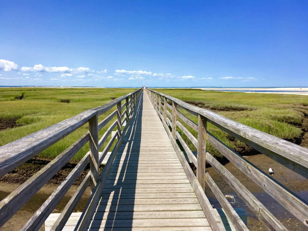 10 Things to do in Cape Cod | FREE Bucket List Experiences | Platinum ...